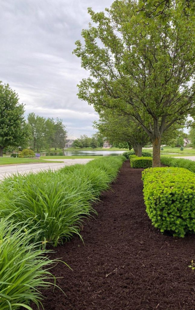 Mulch – Best Budget Tree Service