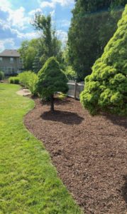 Mulch – Best Budget Tree Service