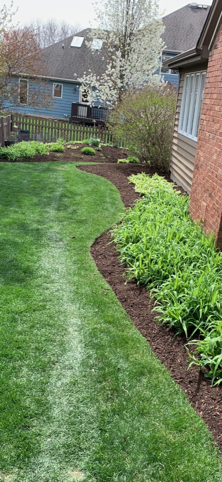 Mulch – Best Budget Tree Service